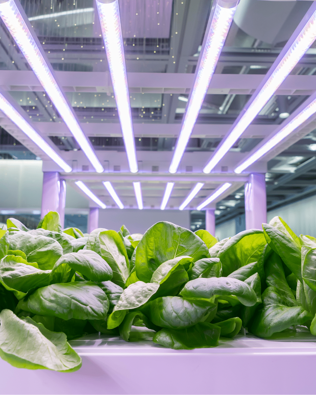 FOB vs DDP Explained | Importivity